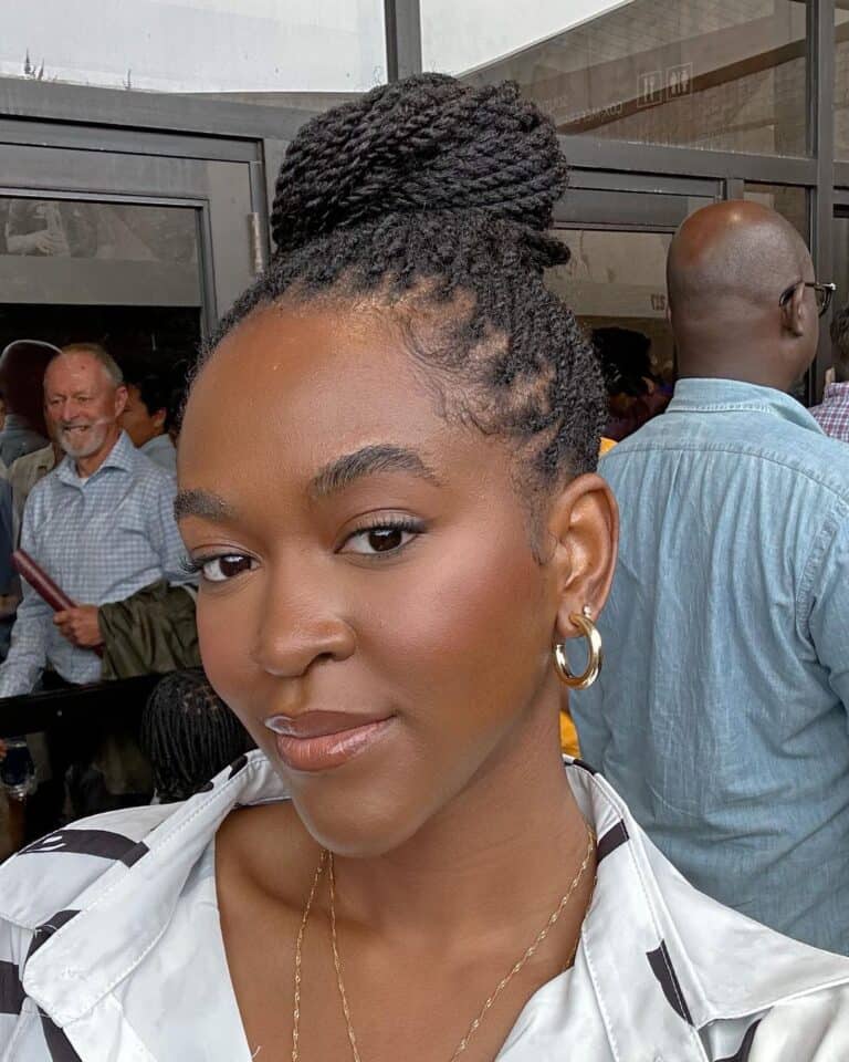 Mini Twists on Natural Hair: A No-Frills, No-Twist Guide For 2026