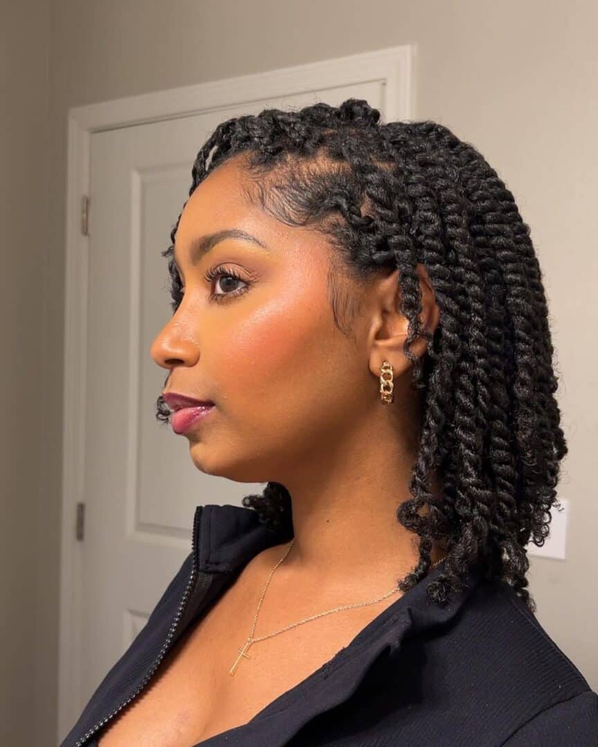 Mini Twists on Natural Hair: A No-Frills, No-Twist Guide For 2026